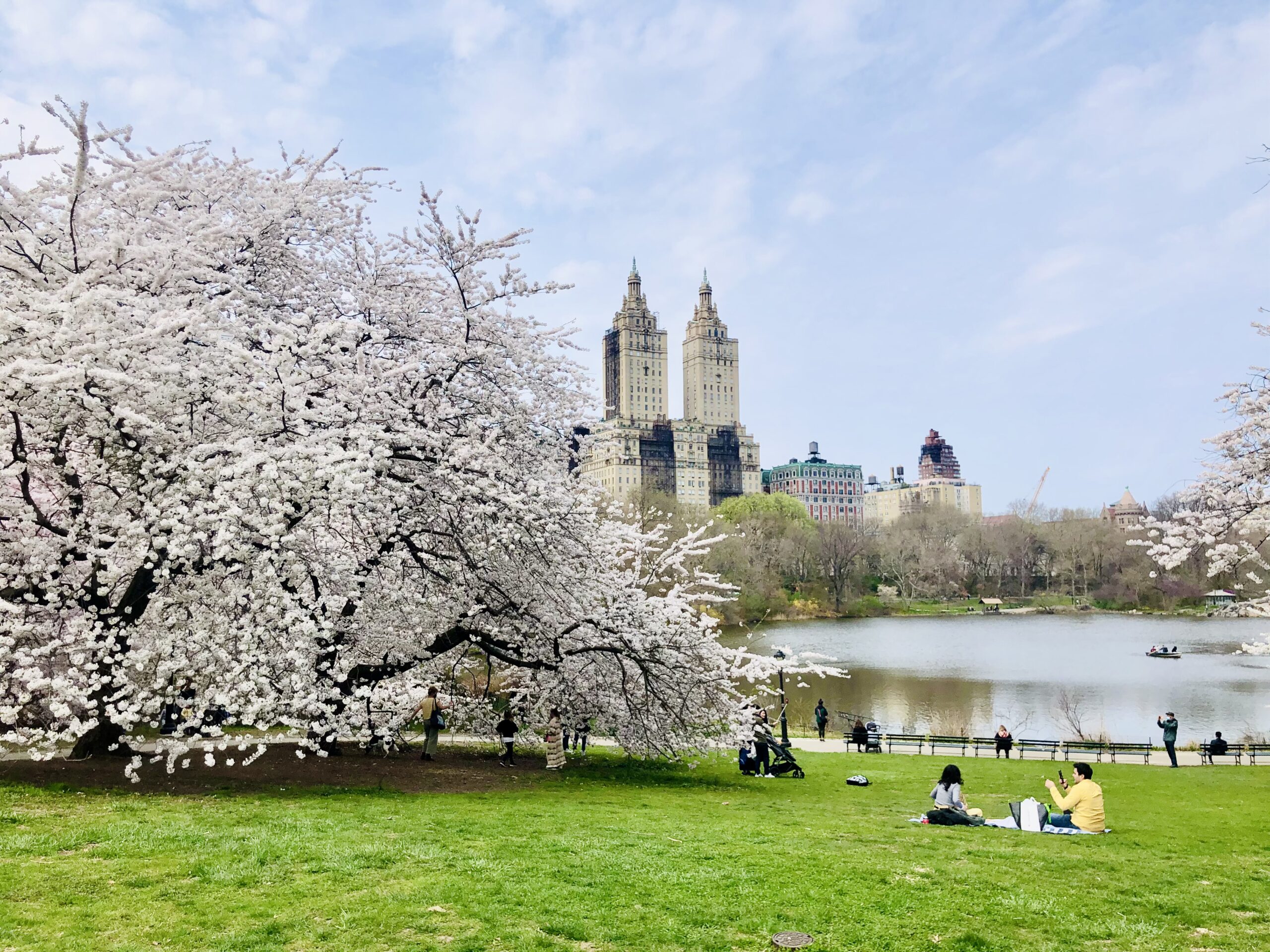 NYC Spring